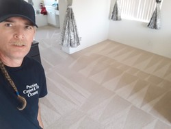 Precision Carpet Cleaning