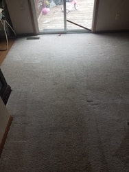 First Class Carpet Cleaning