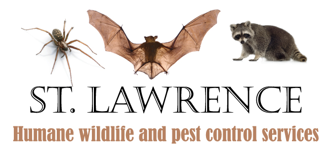 St. Lawrence Wildlife and Pest Control Services